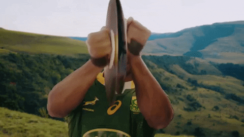 Attention keyboard warriors! Some new Bok gifs on giphy. : r/springboks