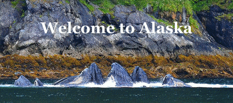 Alaska GIF - Find & Share on GIPHY
