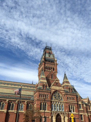 Harvard GIF - Find & Share on GIPHY