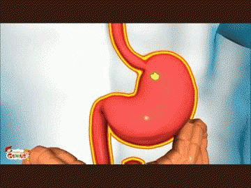 Stomach GIF - Find & Share on GIPHY