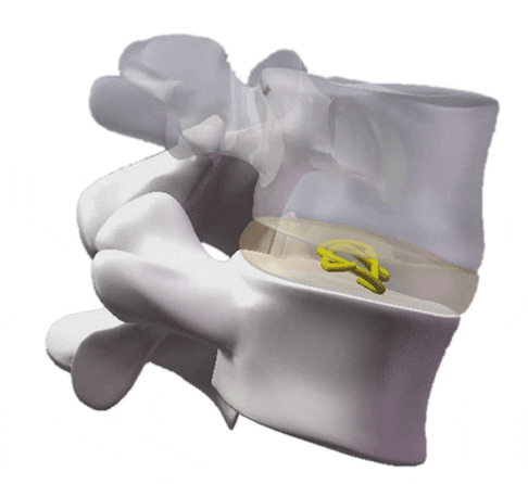 Joint GIF - Find & Share on GIPHY