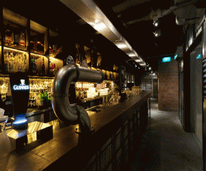 Bar GIF - Find & Share on GIPHY