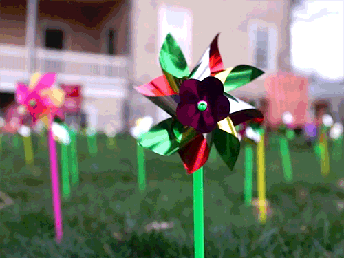 Spring Pinwheels GIF by Haverford College - Find & Share on GIPHY