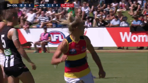 Phillips GIF by Adelaide Crows - Find & Share on GIPHY