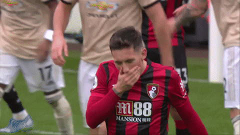 GIF by AFC Bournemouth - Find & Share on GIPHY