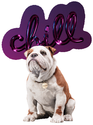 Chill Out Love Sticker by Churchill for iOS & Android | GIPHY