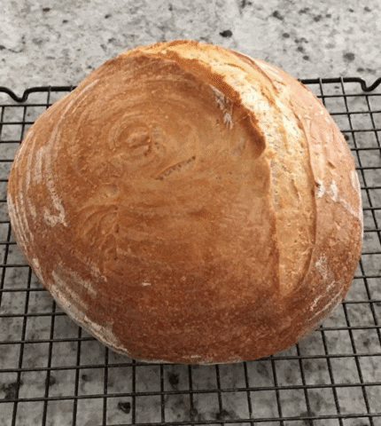 Chuffed with this one : r/Breadit