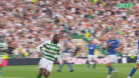 Celtic Fc Soccer GIF by Celtic Football Club - Find & Share on GIPHY