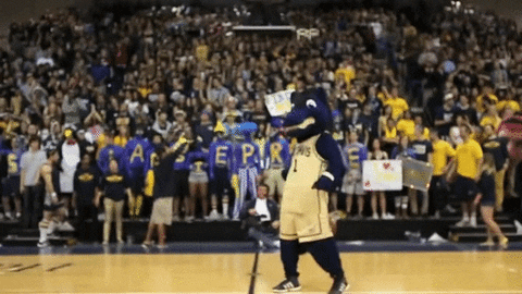 Gunrock GIF by UCDavis - Find & Share on GIPHY