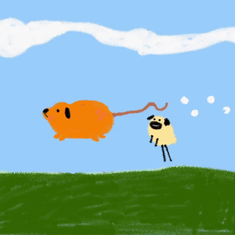 Dog Flying GIF by Gottalotta - Find & Share on GIPHY