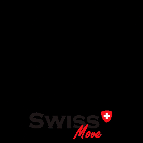 Swiss Move Br GIF - Find & Share on GIPHY