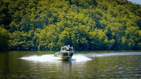 Policie České republiky GIF - Find & Share on GIPHY