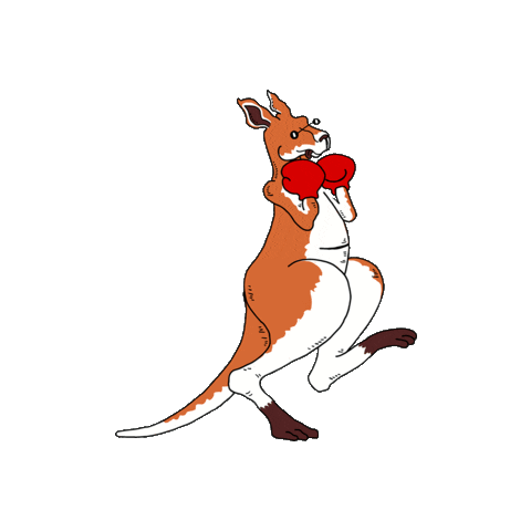 Punch Boxing Sticker by The Peter’s Brand for iOS & Android | GIPHY