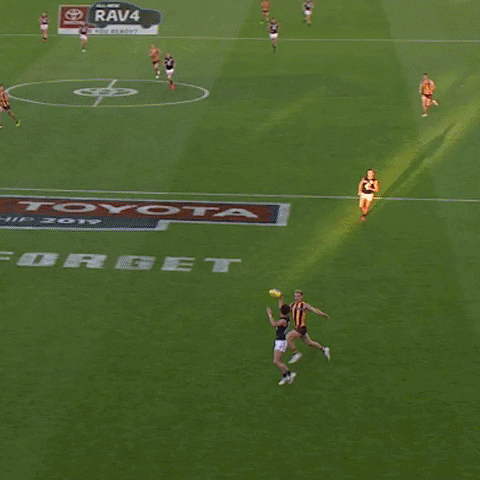 GIF by AFL - Find & Share on GIPHY