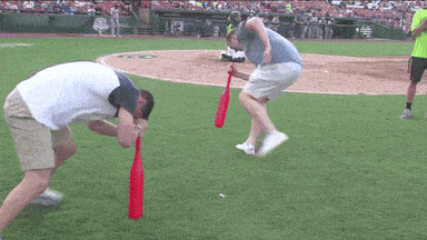 Fall Gocougs GIF by Kane County Cougars - Find & Share on GIPHY