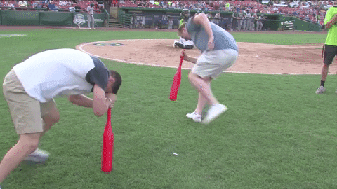 Fall Gocougs GIF by Kane County Cougars - Find & Share on GIPHY