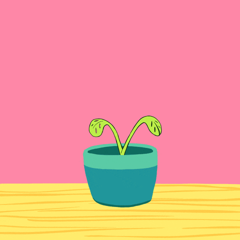 Money Plant GIF by INTO ACTION - Find & Share on GIPHY