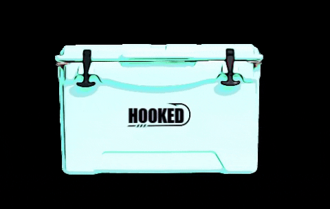 Hooked Coolers GIF - Find & Share on GIPHY