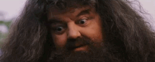 Hagrid GIF - Find & Share on GIPHY