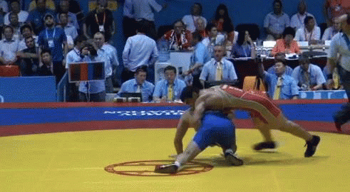 Wrestling GIF - Find & Share on GIPHY
