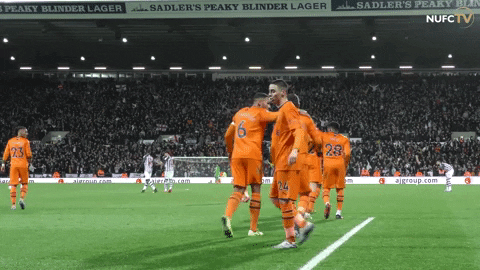 Newcastle United Fusion GIF by Newcastle United Football Club - Find ...