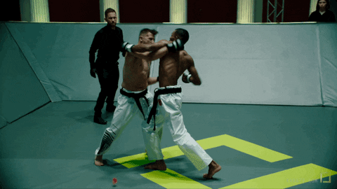 Karate Combat GIF - Find & Share on GIPHY