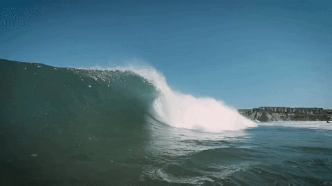 Travel Travelling GIF by https://www.sharryup.com/ - Find & Share on GIPHY