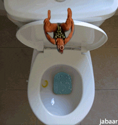 Diving High Dive GIF - Find & Share on GIPHY