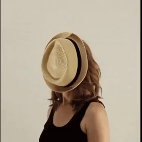 Art Life GIF by The Videobook - Find & Share on GIPHY