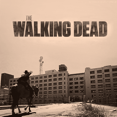 The Walking Dead Twd GIF - Find & Share on GIPHY