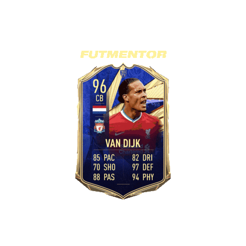 Van Dijk Liverpool Sticker by FUT Mentor for iOS & Android | GIPHY