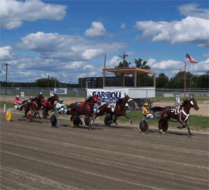 Race GIF - Find & Share on GIPHY