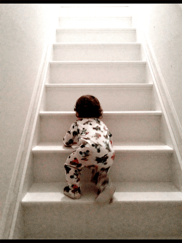 Stairs GIF - Find & Share on GIPHY
