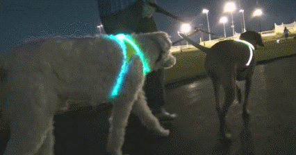 Reflective GIF - Find & Share on GIPHY