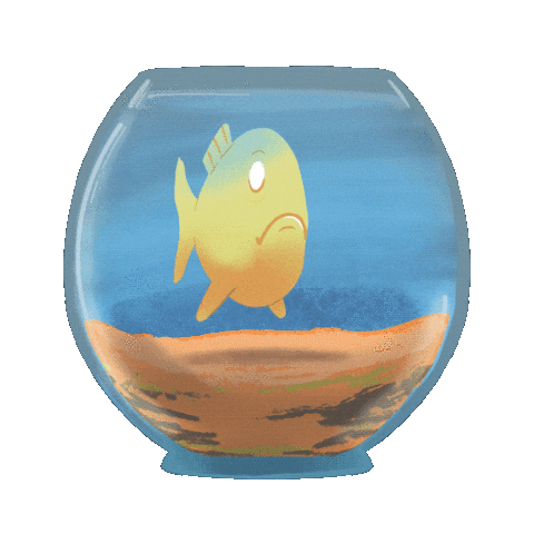 Fish Tank Loop Sticker for iOS & Android | GIPHY