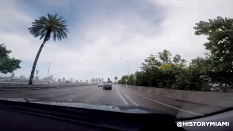 Miami Beach GIF by HistoryMiami Museum - Find & Share on GIPHY