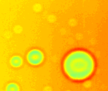 Yellow GIF - Find & Share on GIPHY