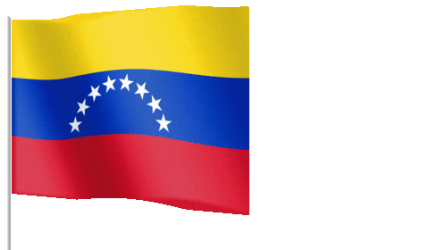 Flag Waving Sticker by PRV Audio for iOS & Android | GIPHY