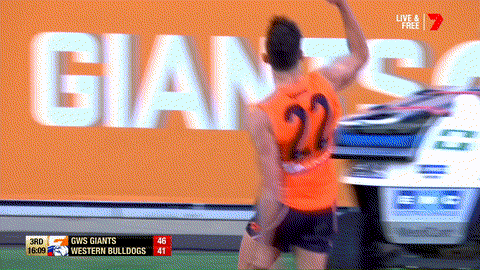 AFL GIF - Find & Share on GIPHY