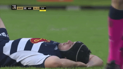 Agen Rugby GIF - Find & Share on GIPHY