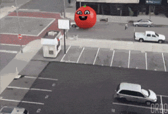 Funny Loop GIFs - Find & Share on GIPHY