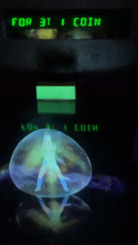 Animated GIF - Find & Share on GIPHY