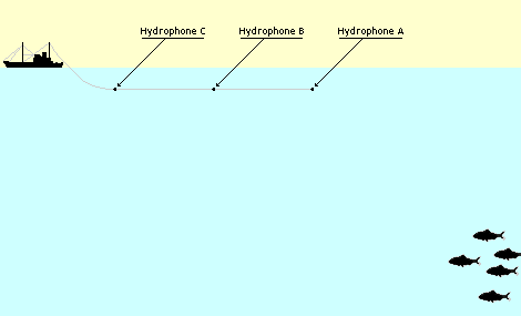 Sonar GIFs - Find & Share on GIPHY