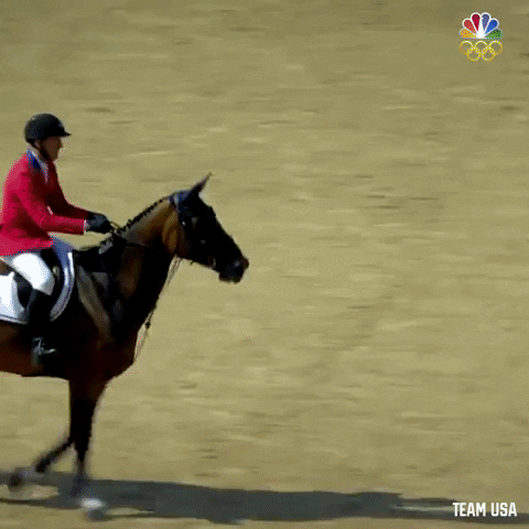 Olympics Us Equestrian GIF by Team USA - Find & Share on GIPHY