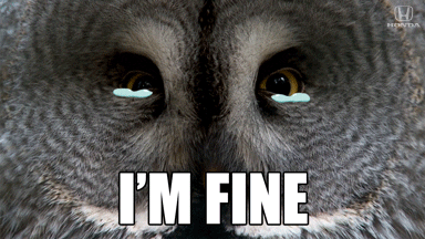 Sad Am Fine GIF by Honda - Find & Share on GIPHY