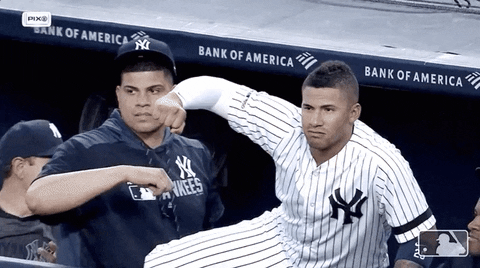 Major League Baseball Ny Yankees 2019 GIF by New York Yankees - Find ...