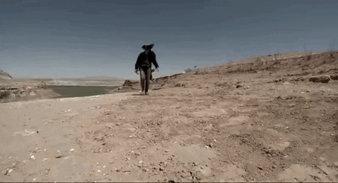 Pirate's Parley GIF - Find & Share on GIPHY