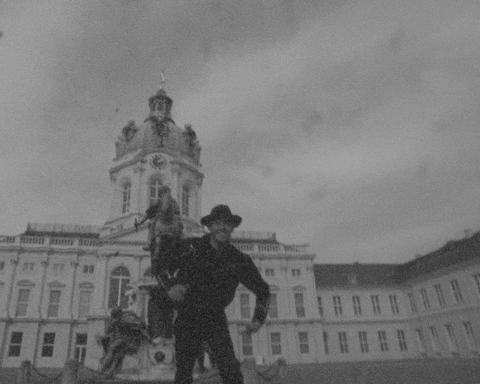 Bees Running GIF by Harry Hudson - Find & Share on GIPHY