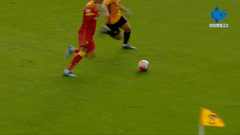 Celebration Goal GIF by MolaTV - Find & Share on GIPHY