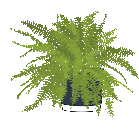 Plant Sticker for iOS & Android | GIPHY